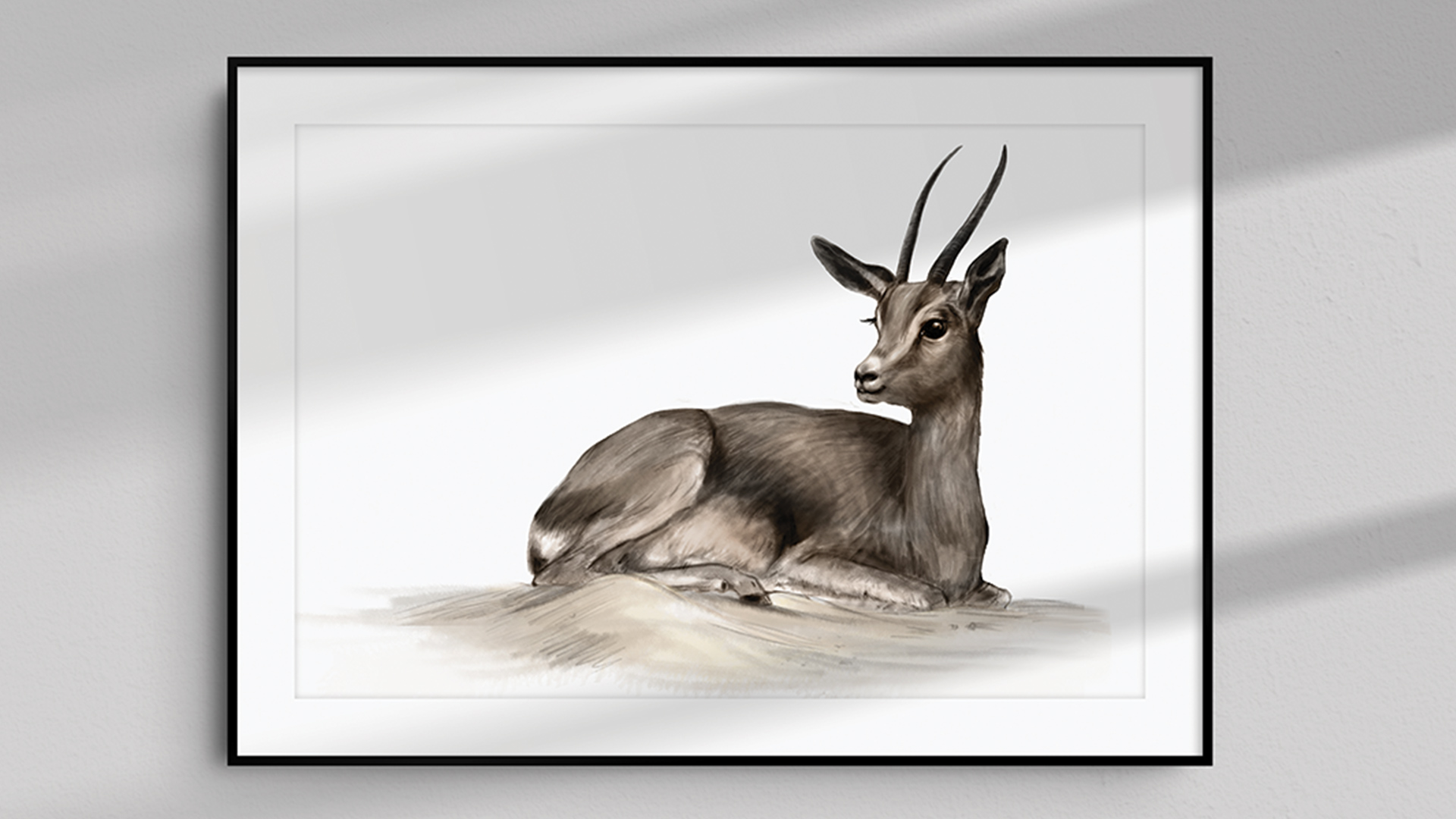 Projects | Ralma Studio